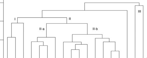 Dendrogram Resulting From Single Linkage Cluster Analysis Slca Of 18