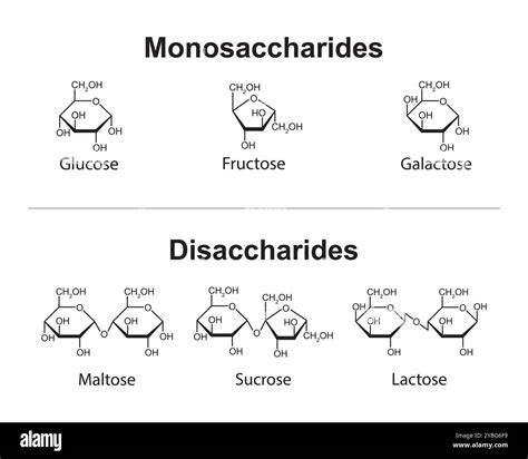 Lactose Chemical Formula