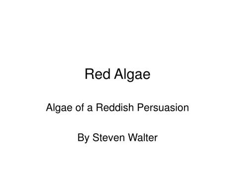 Ppt Red Algae Powerpoint Presentation Free Download Id6667097
