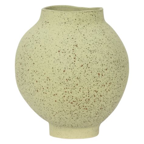 Pale Green Vase Heron By Urban Nature Culture Seven Colonial