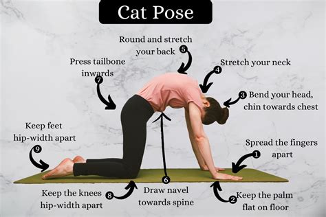 Cat Cow Pose Benefits Cat Cow Pose Benefits Steps Precautions Yogaholism Furthermore It Is