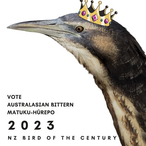 Kaipara Moana Remediation On Linkedin Bird Of The Year ‹ Forest And Bird