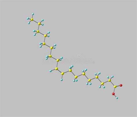 Oleic Acid Cis And Elaidic Acid Trans Omega 9 Fatty Acids Are