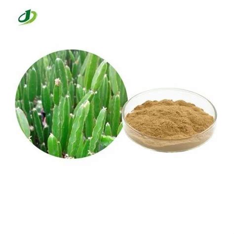 Cissus Quadrangularis Extract Packaging Type Pp Bag Packaging Size
