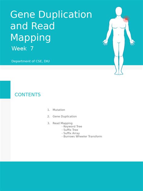 Lecture 7 Gene Duplication And Read Mapping Pdf Gene Duplication Gene