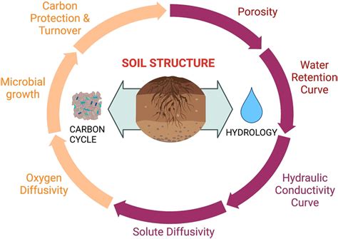 Schematic Representing The Linkage Of Soil Structure Dynamics With Soil Download Scientific