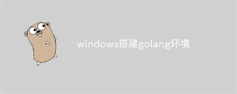 windows搭建golang環境 golang php中文網