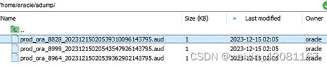 oracle 跟踪文件 审计日志 oracle审计日志 csdn博客