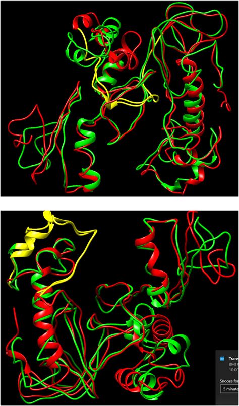 Superposition Of The Wt Structure Green Of Phox2b And The Structures Download Scientific