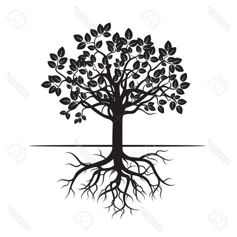 Tree Roots Icon At Vectorified Com Collection Of Tree Roots Icon Free For Personal Use
