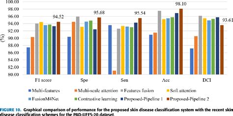 Figure 1 From Pipelined Structure In The Classification Of Skin Lesions