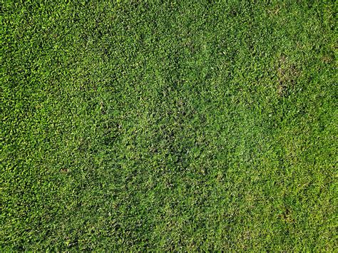 Download Grass Field Trimmed To Roots Background | Wallpapers.com