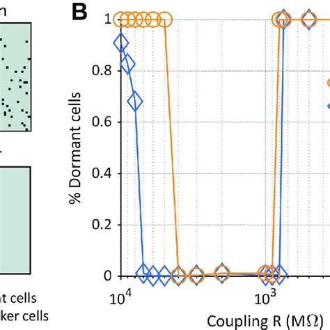 A Small Cluster Of Pacemaker Cells Can Drive A Prevalently Dormant
