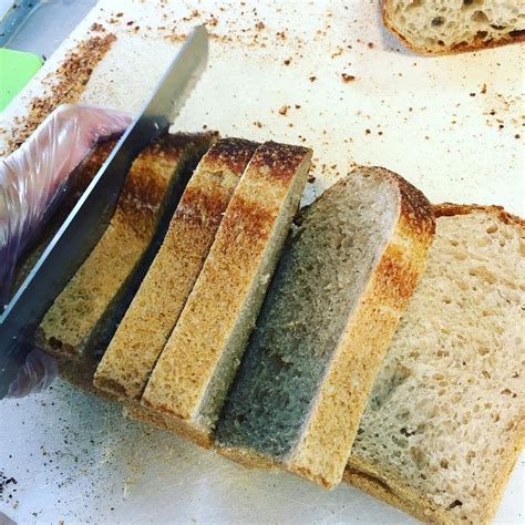 Jam And Bread 요즘 인기~~ 시골식빵입니다 통밀과 호밀이 섞여있는 천연발효종 식빵으로