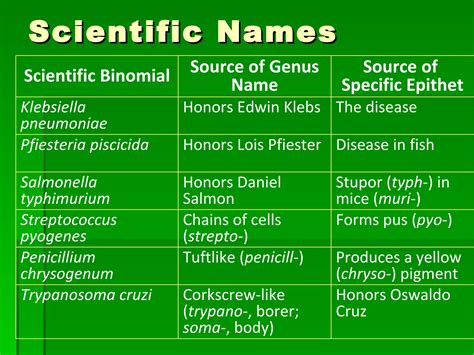 Classification Of Microorganisms Lecture Note By Rm Patel Ppt