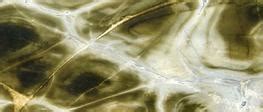 Green Turtle Quartzite By My Kitchen Worktop By Mkw Surfaces