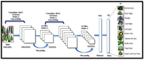 Electronics Free Full Text Detection And Classification Of Tomato Crop Disease Using