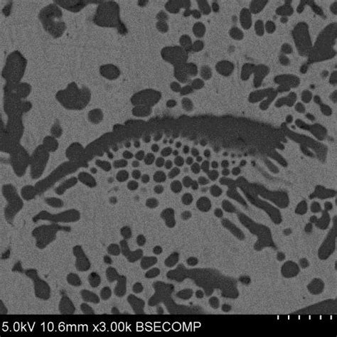 The Tic Microstructure From Primary To Eutectic Download Scientific Diagram