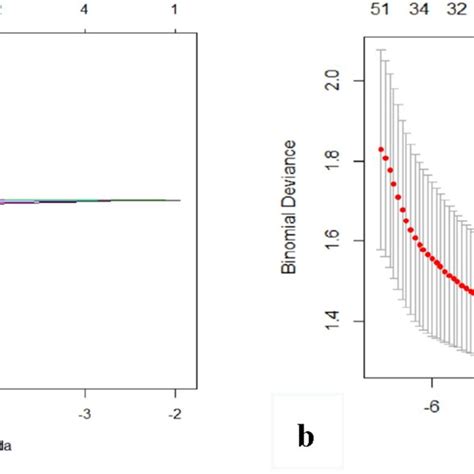 Feature Selection Using The Least Absolute Shrinkage And Selection