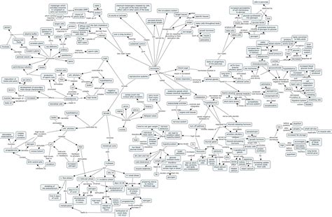 Endocrine System Concept Map