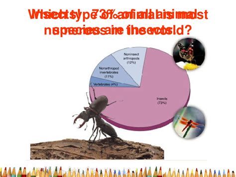 5 1 And 5 2 7th Grade Agenda Learning Objective Learn About Arachnids And Echinoderm Collect Hw