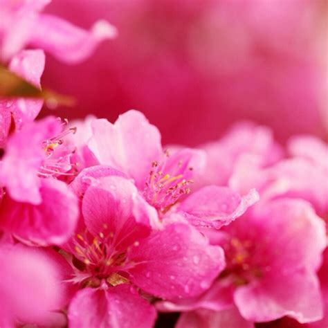 Beauty For The New Healthy You — Minimalist Beauty