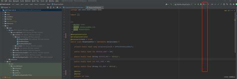 idea去掉显示的测试覆盖率 idea怎么取消覆盖率 csdn博客