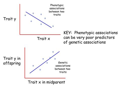 Ppt Constraints On Multivariate Evolution Powerpoint Presentation