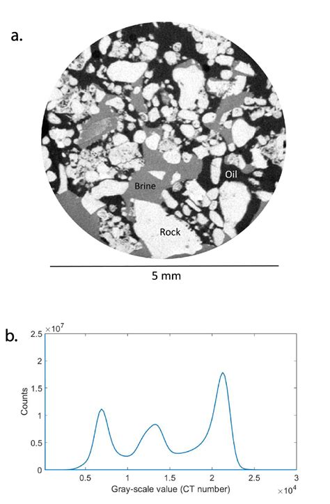 Pore Scale Imaging And Characterization Of Hydrocarbon Reservoir Rock Wettability At Subsurface