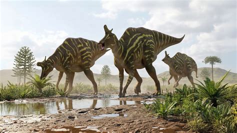 Lambeosaurus Lambei Lambes Lizard 76 To 75 Million Years Ago