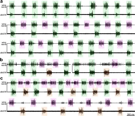 Coupling Between Singing And Ventilation Ac Recordings Of The Singing Download Scientific