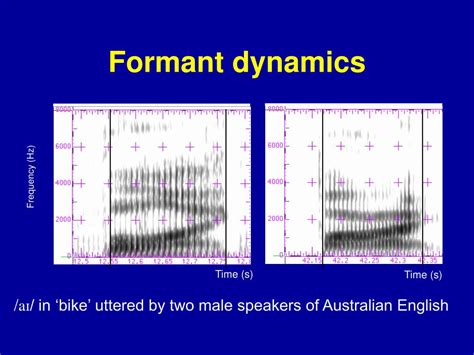Ppt Dynamic Formant Dynamics And Individual Speaker Characterization