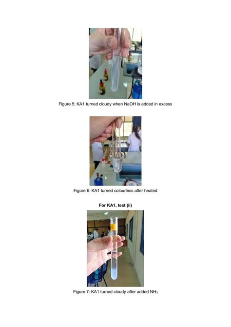 lab report 2 identify the cation and anion in a mixture of inorganic