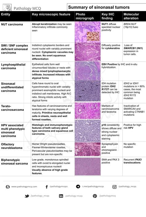 Summary Of Sinonasal Tumors Including Latest Who 2022 Updates And More Mcqs