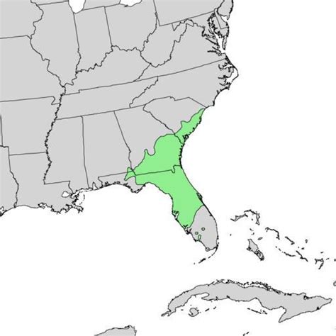 Free Images Viburnum Obovatum Range Map 1