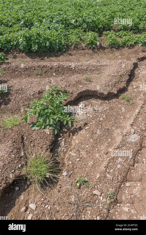 Runoff Soil Erosion High Resolution Stock Photography And Images Alamy