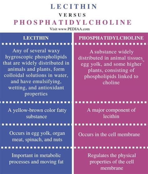 What Is The Difference Between Lecithin And Phosphatidylcholine Pediaa Com