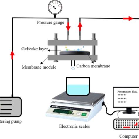 Flowchart Of The Setup For Measuring Separation Performance Of Mcms