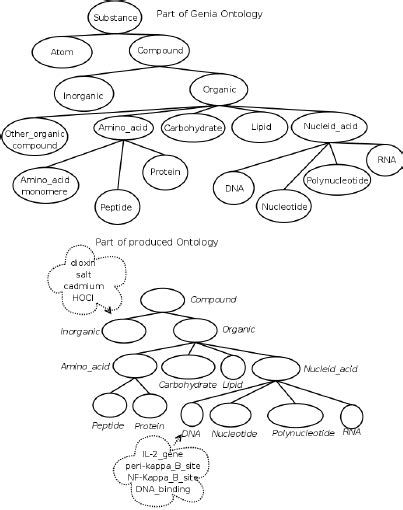 Parts Of The Produced Ontology And The Genia Ontology In Clouds