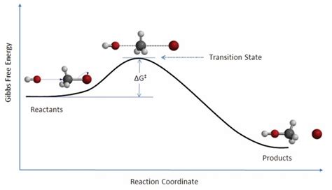 Reaction Kinetics