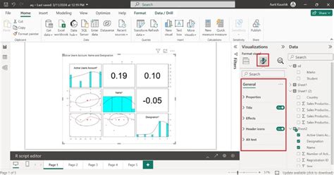 python script and r script visual