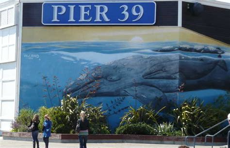 Pier 39 En San Francisco 33 Opiniones Y 153 Fotos