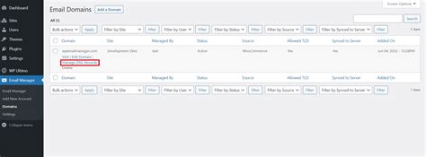 How To Add A DNS Record WP Email Manager