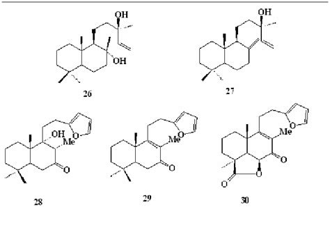 Bioactive Labdane Diterpenoids From Turkish Lamiaceae Plants Download Scientific Diagram