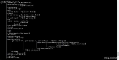 Linux系统之管理进程linux之进程管理二头歌 Csdn博客