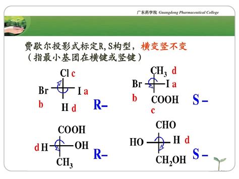 三萜类化合物word文档在线阅读与下载无忧文档