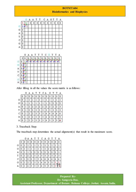 bioinformatics sequence analysis docx programming languages computing