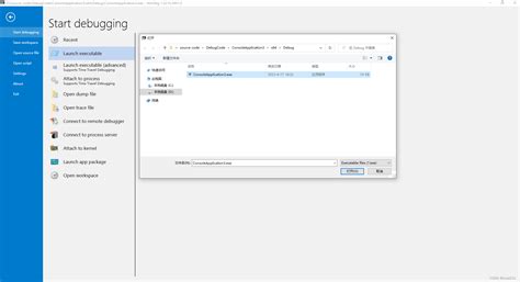 windbg 添加断点调试程序 windbg启动exe程序 csdn博客