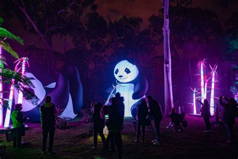 Electric Kingdom A Free Outdoor Experience Secret Melbourne