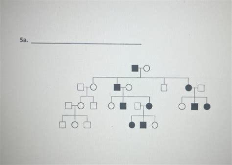 Solved 5 For Each Of The Following Pedigrees Give The Most